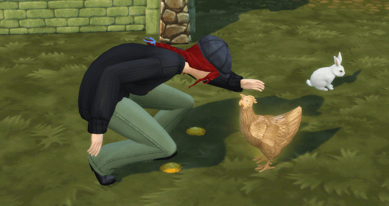 The Sims 4: Everything You Need to Know About Chickens