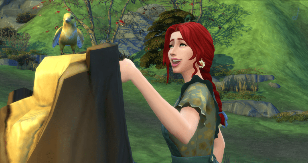 The Sims 4: Everything You Need to Know About Wild Birds