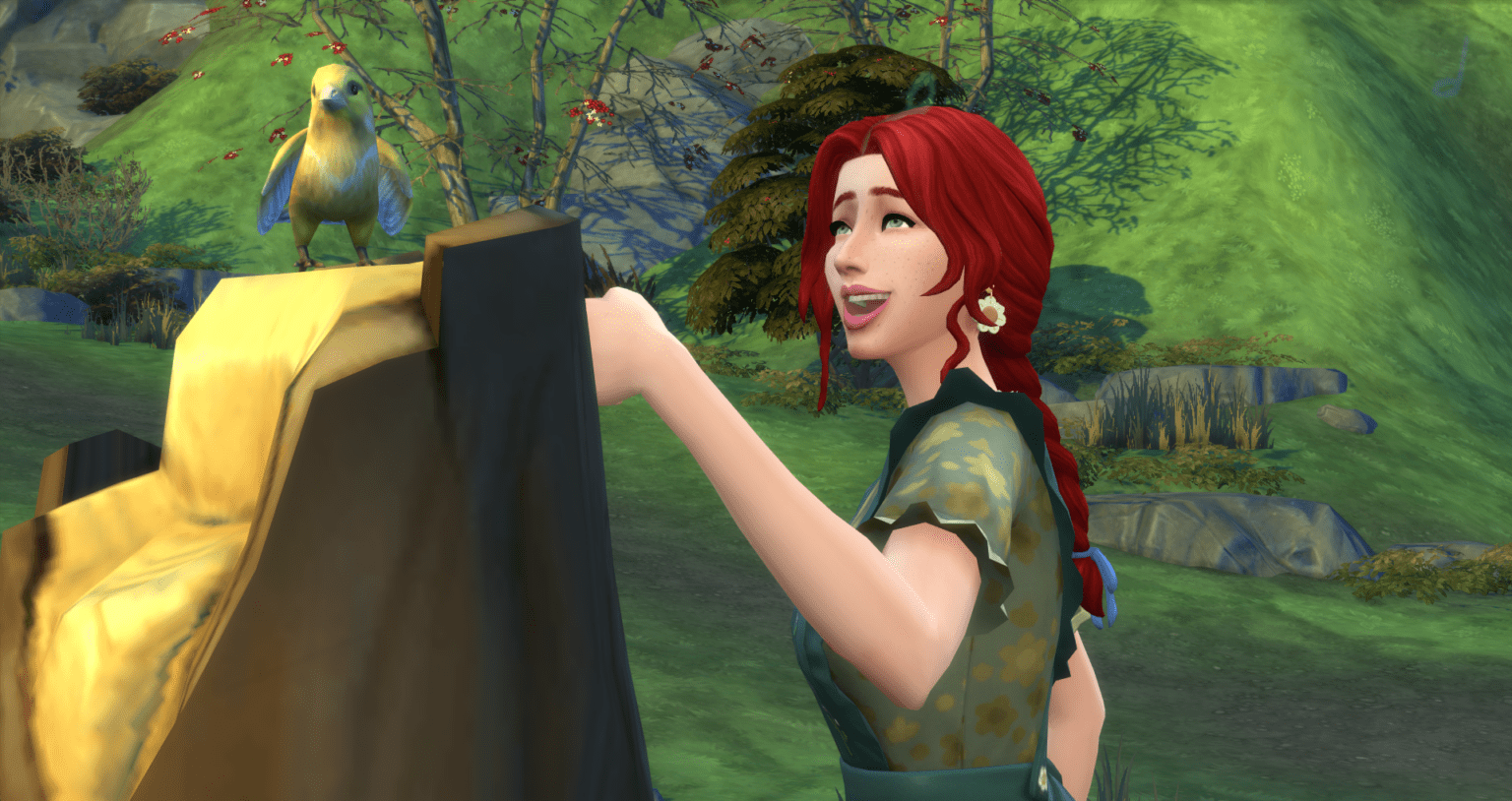 The Sims 4: Everything You Need to Know About Wild Birds