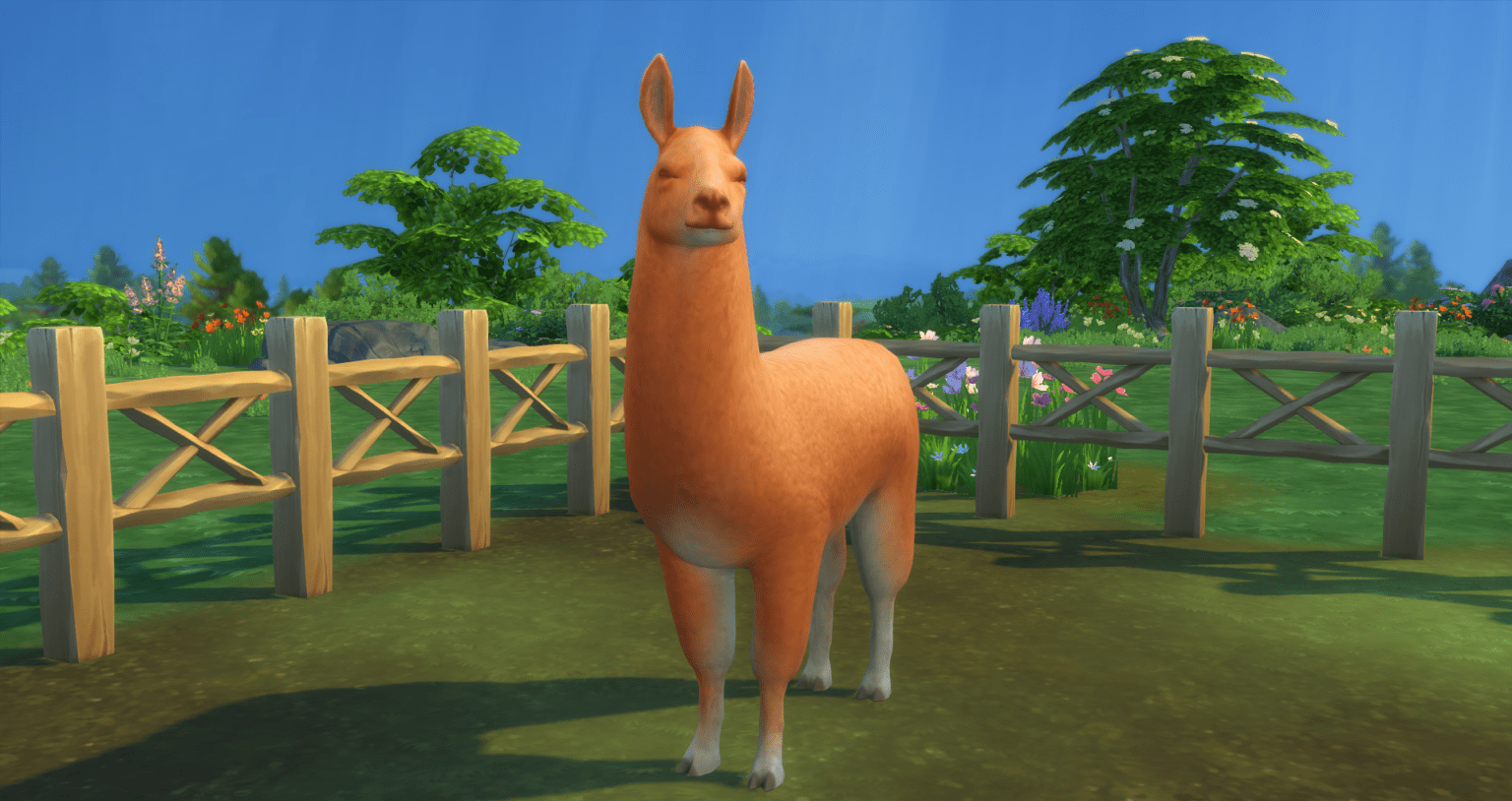 The Sims 4: Everything You Need to Know About Animal Treats (Cottage ...