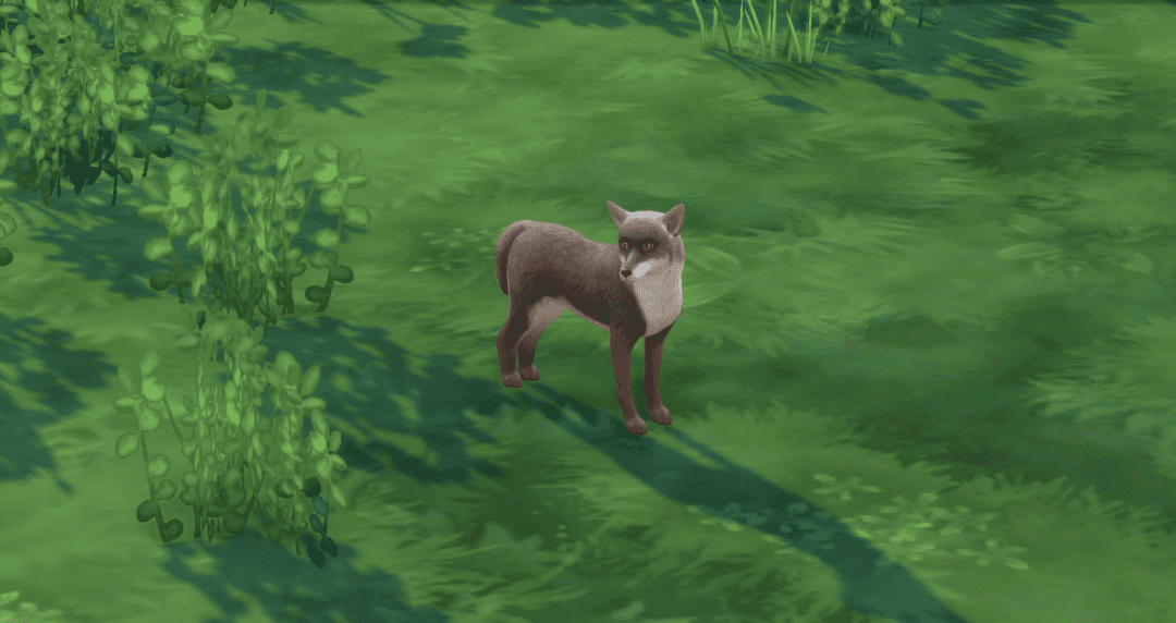The Sims 4: Everything You Need to Know About Wild Foxes