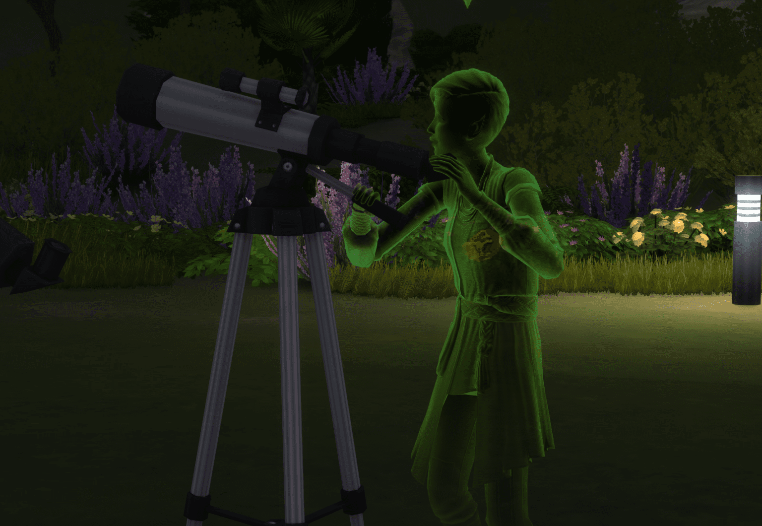 Sims 4 Death by Meteorite Overview - Ultimate Sims Guides